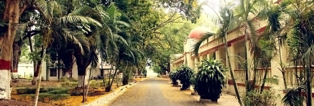 Central Institue of psychiatry (CIP), ranchi – PGC